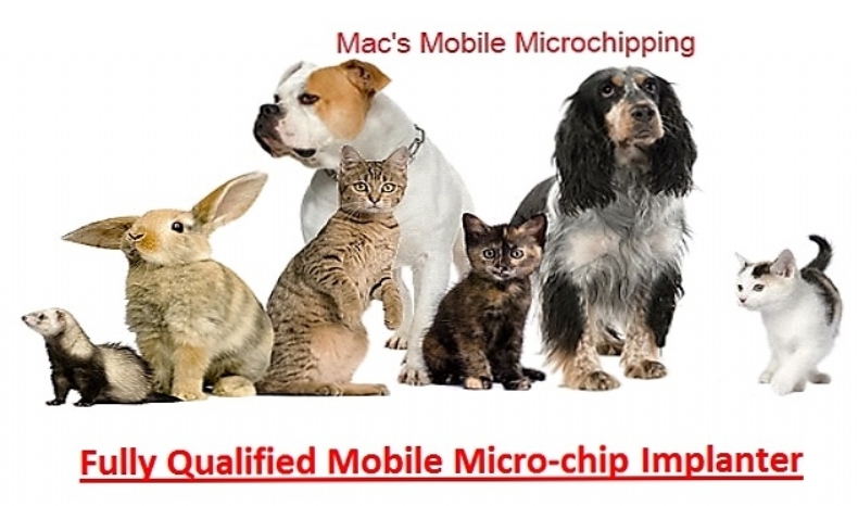 PeddyMark | Don Macaskill pet microchip implanter in Lancashire.