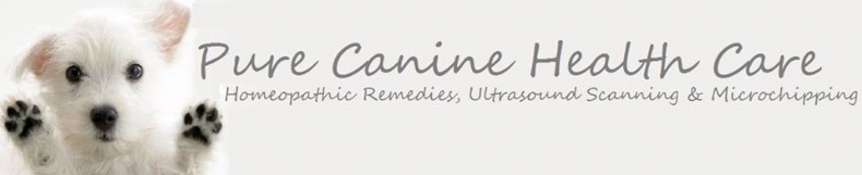 PeddyMark | Donna Nelson pet microchip implanter in Scotland.