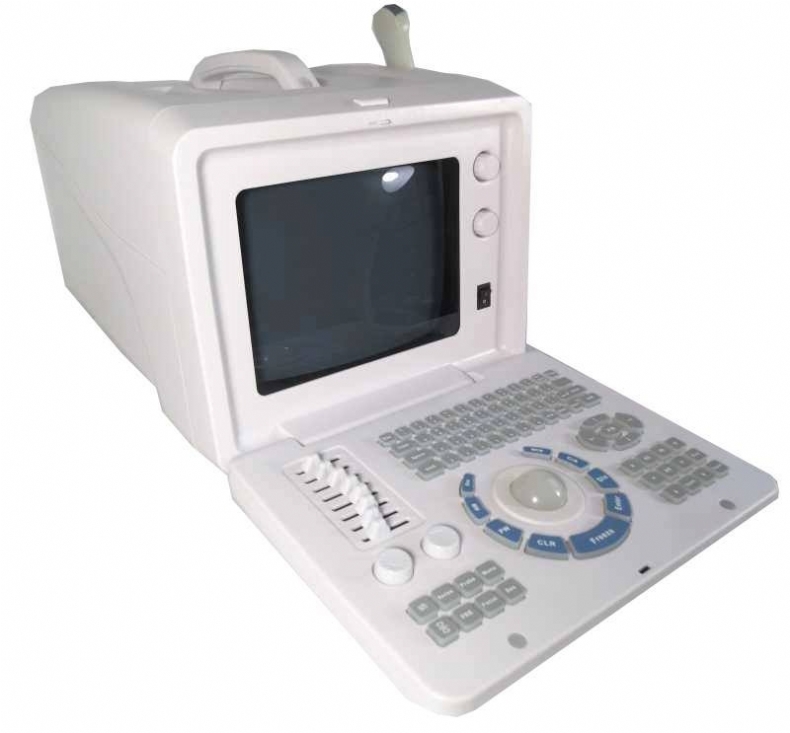 PeddyMark | Melissa Holton pet microchip implanter in Bedfordshire.