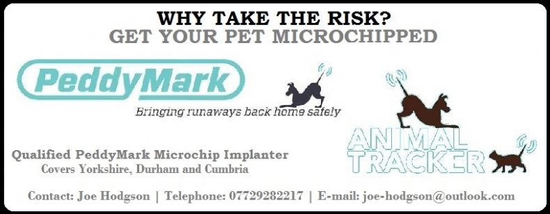 PeddyMark | Joe Hodgson pet microchip implanter in Yorkshire.
