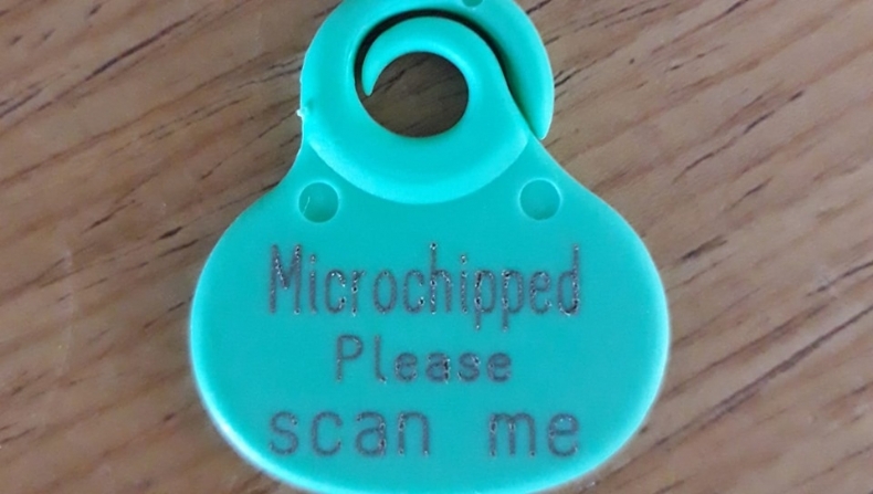 PeddyMark | sarah marsland pet microchip implanter in West Midlands.