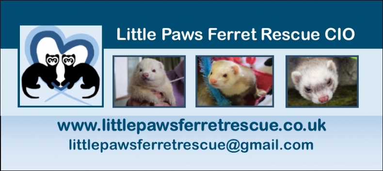 PeddyMark | Michelle Brunton pet microchip implanter in Tyne and Wear.