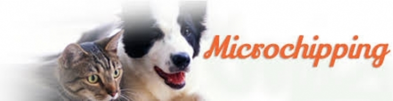 PeddyMark | Ryan Jones pet microchip implanter in West Midlands.