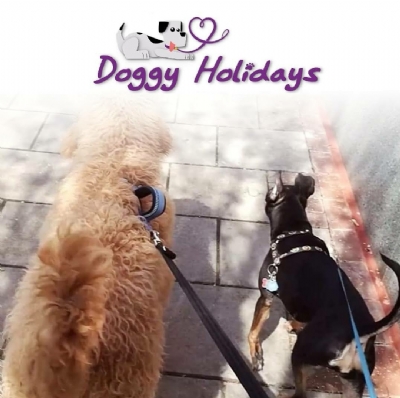 PeddyMark | Doggy Holidays pet microchip implanter in London.